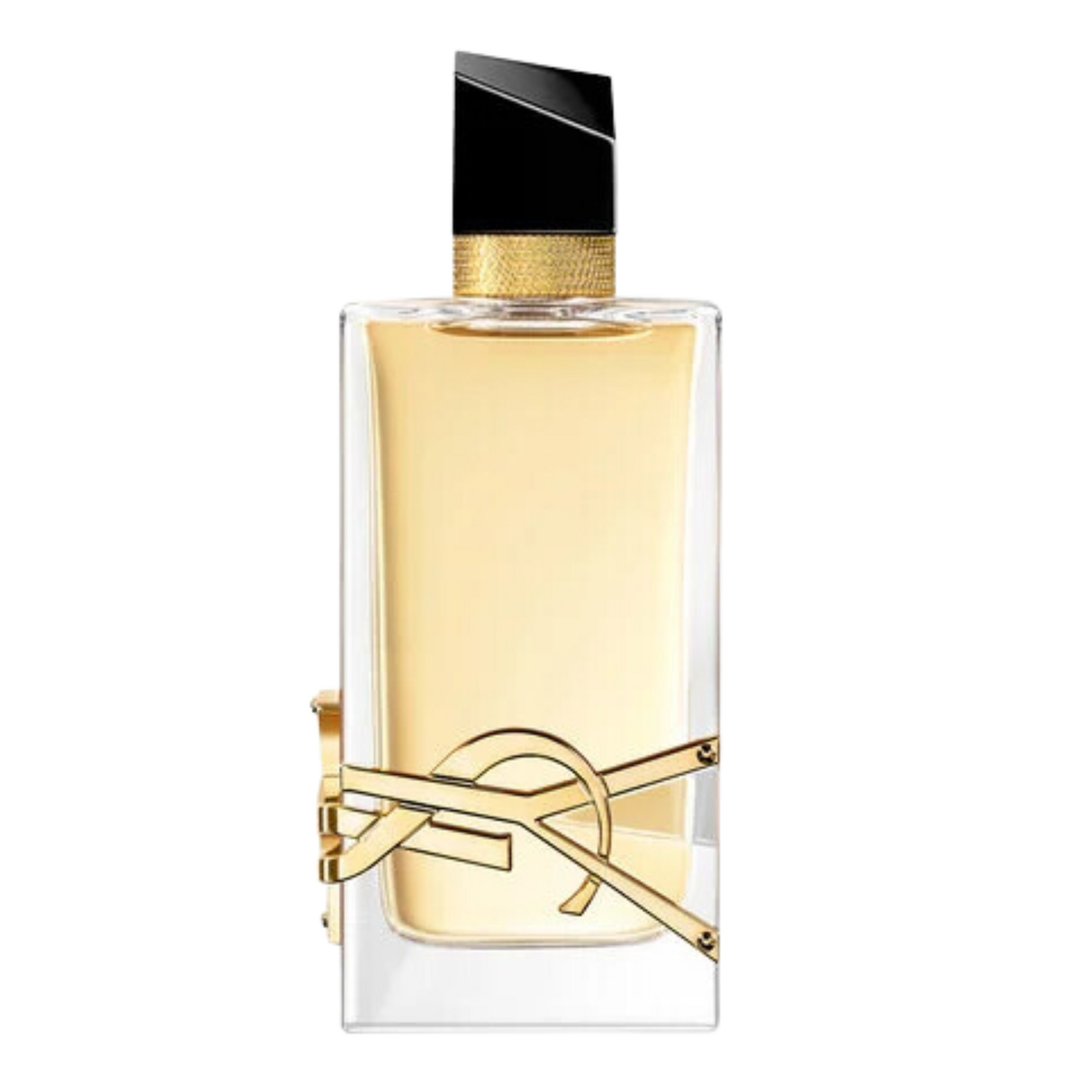YSL Perfumes Collection | Iconic & Bold – DNA Perfumo